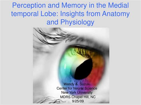 Ppt Perception And Memory In The Medial Temporal Lobe Insights From