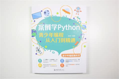 案例学python青少年编程从入门到精通少儿儿童电脑编程零基础书学网络爬虫数据分析基础入门自学教程书籍计算机语言程序设计教材 虎窝淘