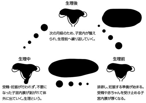 Patch Ageパッチエイジ貼るコスメ株式会社シンビシン