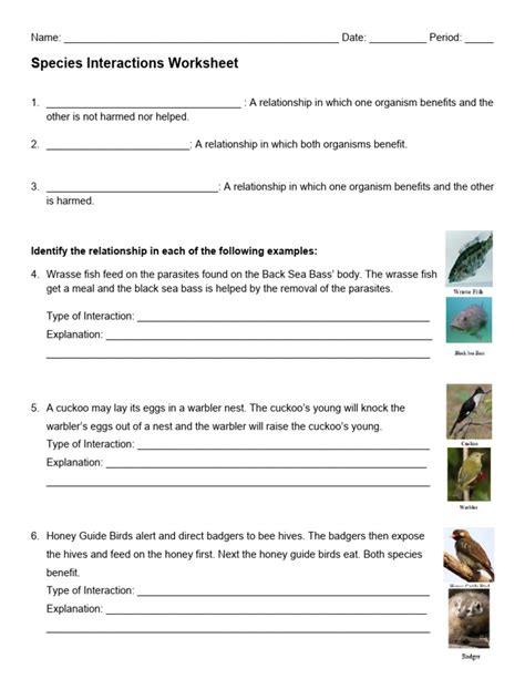Species Interactions Worksheet Identify The Relationship In Each Of The Following Examples