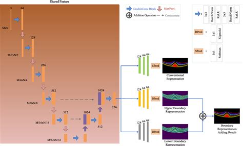 Figure 3 From Multi Task Dual Boundary Aware Network For Retinal Layer