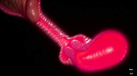 Cervix Creampie 3d No Sound Eporner