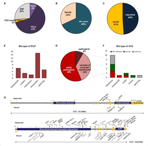 Overview Of Genetic Testing Results Of Tsc1 2 In Fetuses With Cr A Download Scientific