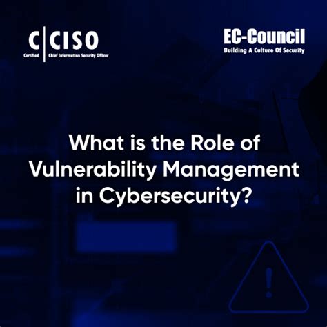 Effective Vulnerability Management Strategies | Your Ultimate Guide