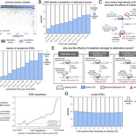 The Effects Of Splice Site Mutations Download Scientific Diagram