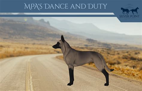 Mpas Dance And Duty Reference By Shie An On Deviantart