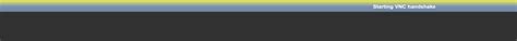 NoVNC Hanging Vnc Handshake When Container Has Not Internet Connection Issue ConSol