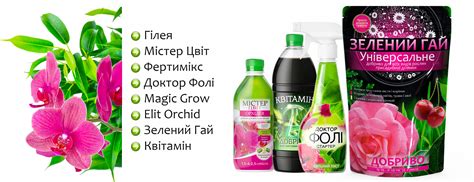 Квіти Борзна магазин квітів та рослин у горщиках Глорія ФОП Пугач ВГ Квіти Борзна