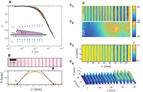 Colorimetric Calibration A Transmission Of A Dyed Gel Measured