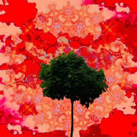 Helena Heyak Helenaheyak • Zdjęcia I Filmy Na Instagramie Mandala