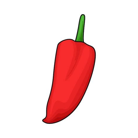 Chilli Illustration Premium Vector