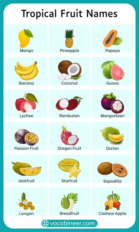 Tropical Fruits Names In English With Pictures