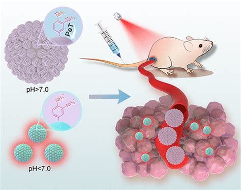 Rational Np Codoped Ph Activatable Red Carbon Dot For In Vitro And In