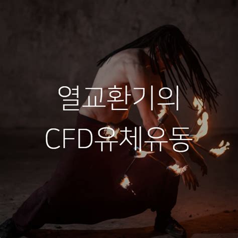 열교환기의 유체유동 해석