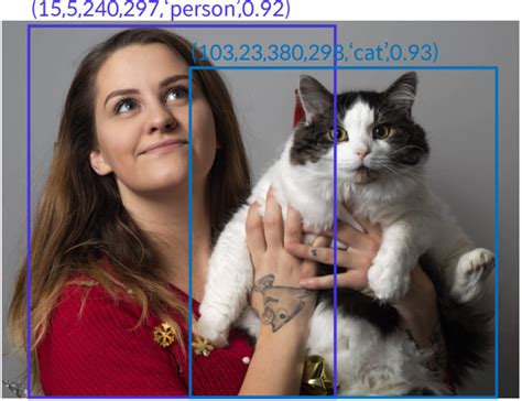 AI Object Detection 문제영역과 metric 정리 Hangil s Note
