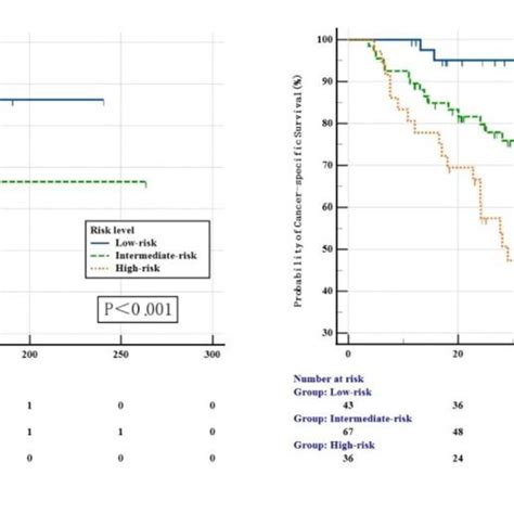 Kaplan Meier Estimates For Css Stratified By The Risk Level In The Download Scientific Diagram Kaplan Meier Estimates For Css Stratified By The Risk Level In The Download Scientific Diagram