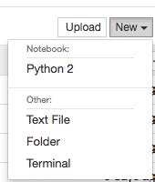 No Obvious Way To Create Named Terminals Issue Jupyter Notebook GitHub
