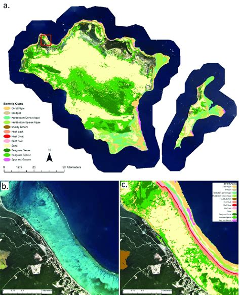 A An Example Area Of The Final Ps Image Derived Benthic Habitat Download Scientific Diagram