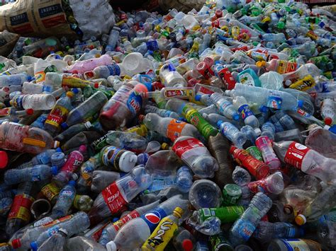 Could A Mutant Enzyme That Breaks Down PET Bottles Be The Solution To