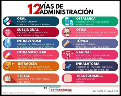 12 Vías De Administración De Medicamentos Fármacos Infografía