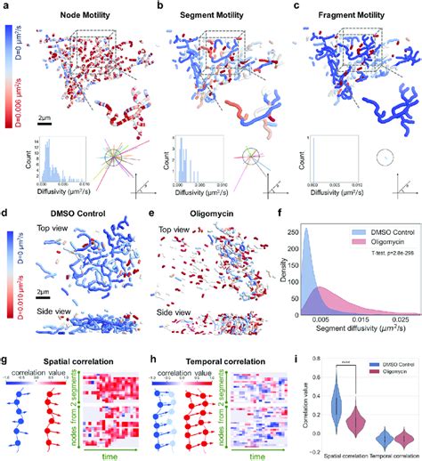 Mitochondrial Network Motility Analysis A C Top Mitochondrial Nodes