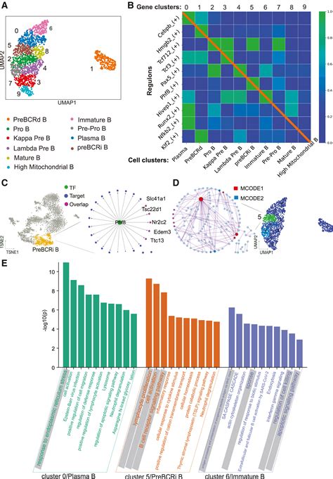 Inferring Gene Regulatory Networks By Hypergraph Generative Model Cell Reports Methods