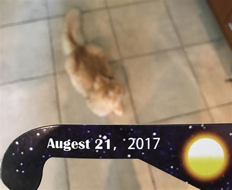Feeling Really Confident About My Eclipse Glasses Rfunny
