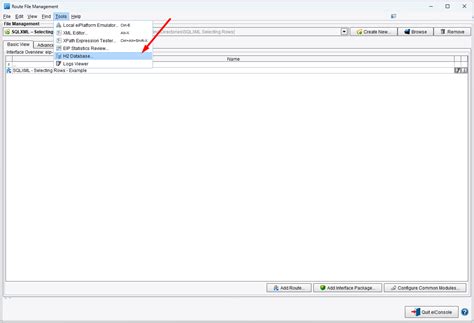 Using Sqlxml To Query And Update A Database Pilotfish Tutorial