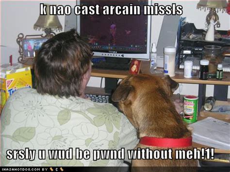 Funny Warcraft Dog Assistant