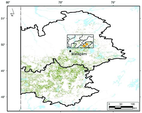 Forest Stands Dominated By Populus Tremuloides On Clay Green In Download Scientific Diagram