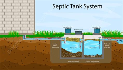 Diagram Of A Septic Tank System And Drain Field Layout Vector