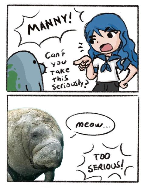 Cant You Take Anything Seriously Too Serious Know Your Meme