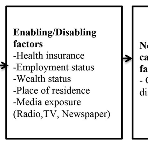 Conceptual Framework Source Anderson And Newman 29 Download Scientific Diagram