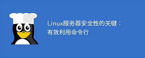 Linux服务器安全性的关键：有效利用命令行 美云