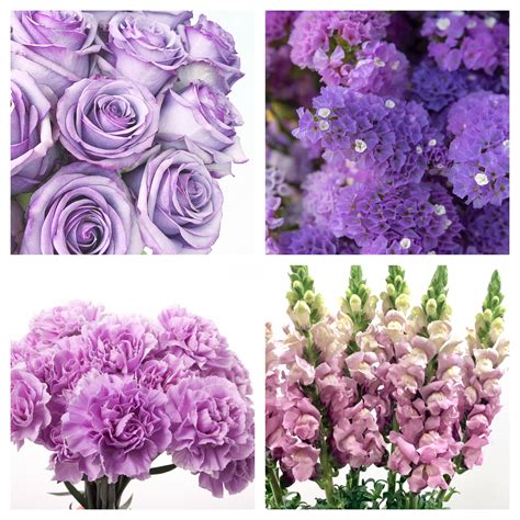 Types Of Purple Flowers