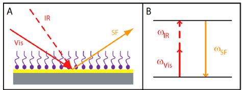 Sum Frequency Generation Scheme A Sum Frequency Generation Occurs Download Scientific