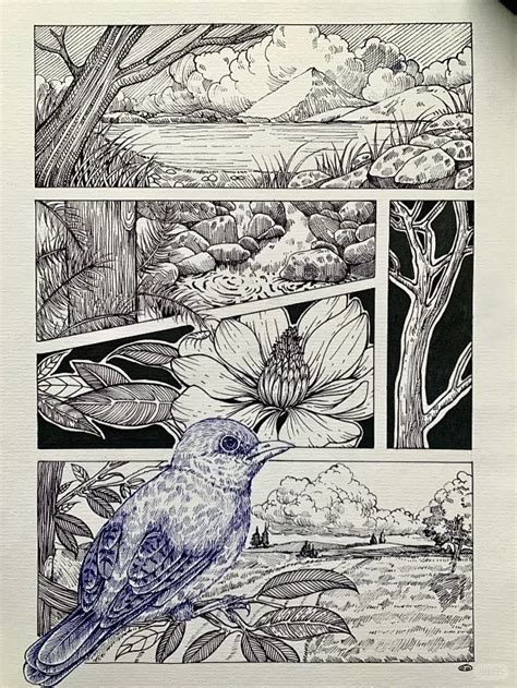 针管笔画｜分镜风景插画 花瓣网