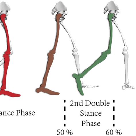 lle chain modeling lle lower limb exoskeleton a perspective view