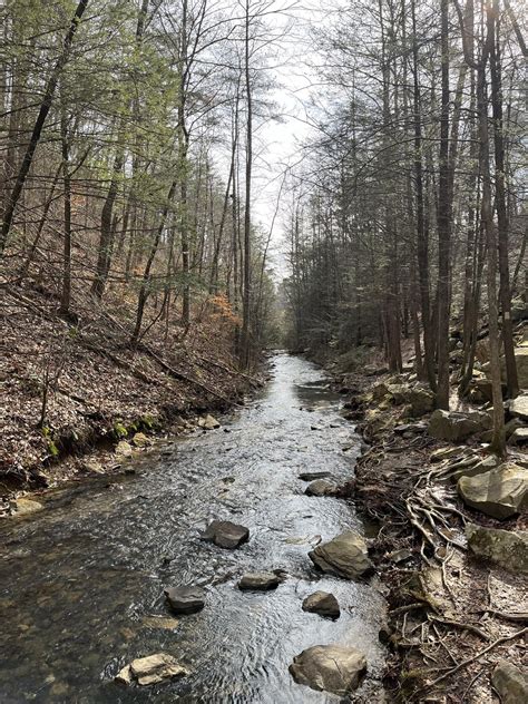 Devils Racetrack Knoxville Tennessee Rhiking