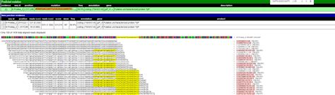 understanding junction output · issue 229 · barricklab breseq · github