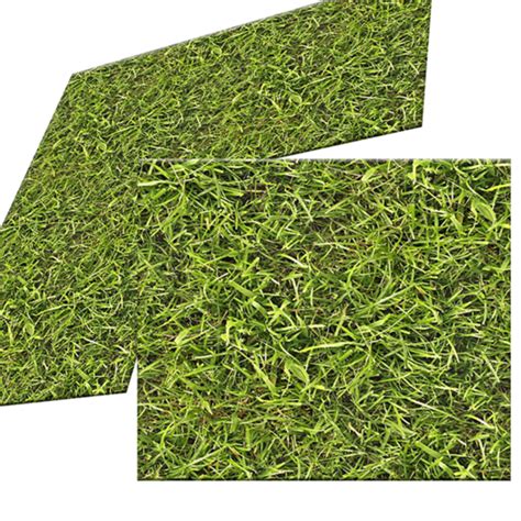 Second Life Marketplace Garden Lawn Texture Full Permissions