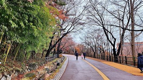 겨울여행지 추천 서울 갈만한곳 서울 갈곳 남산둘레길 산책로 Youtube