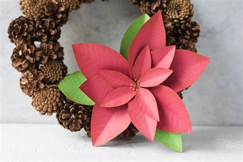 Poinsettia Craft Ideas
