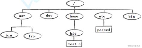 Linux基础:文件操作、指令系统与常用命令详解 Csdn博客 Linux基础:文件操作、指令系统与常用命令详解 Csdn博客