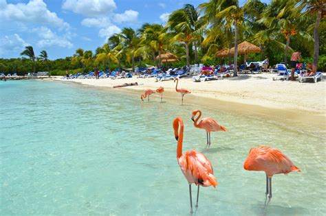 5 Cosas Que Deberías Saber Antes De Viajar A Aruba
