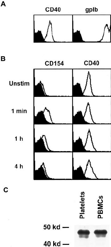 Expression And Structure Of Platelet Cd40 A Unstimulated Platelets
