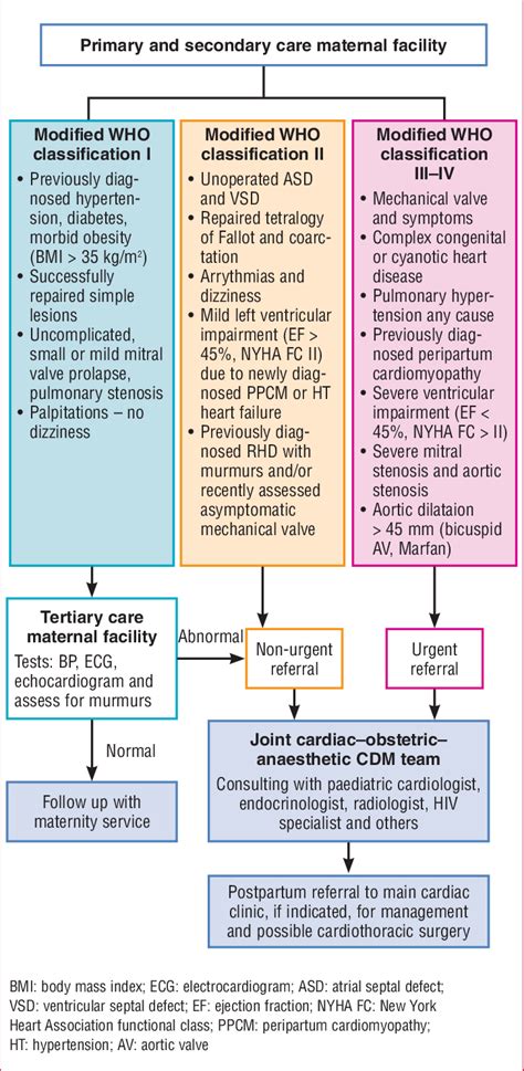 Referral Algorithm For Suspected And Previously Known Cardiovascular Download Scientific