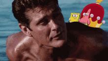 David Hasselhoff S Tenor