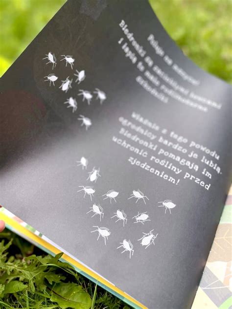 Ale Robale PodŚwietl I Odkryj Recenzja Książki Dla Dzieci