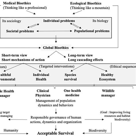 The Global Hybrid Theory Of Bio Ethics The Idea Of A Global Bioethics